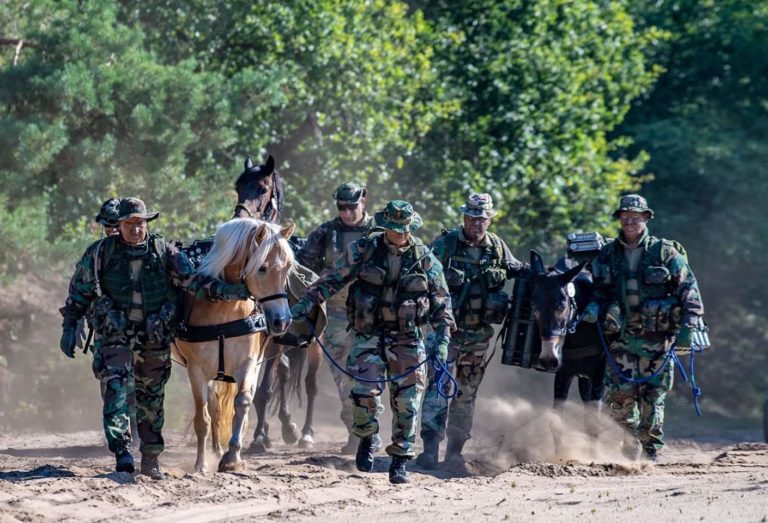 Tactical Pack Animals (TPA) – SUSTINET